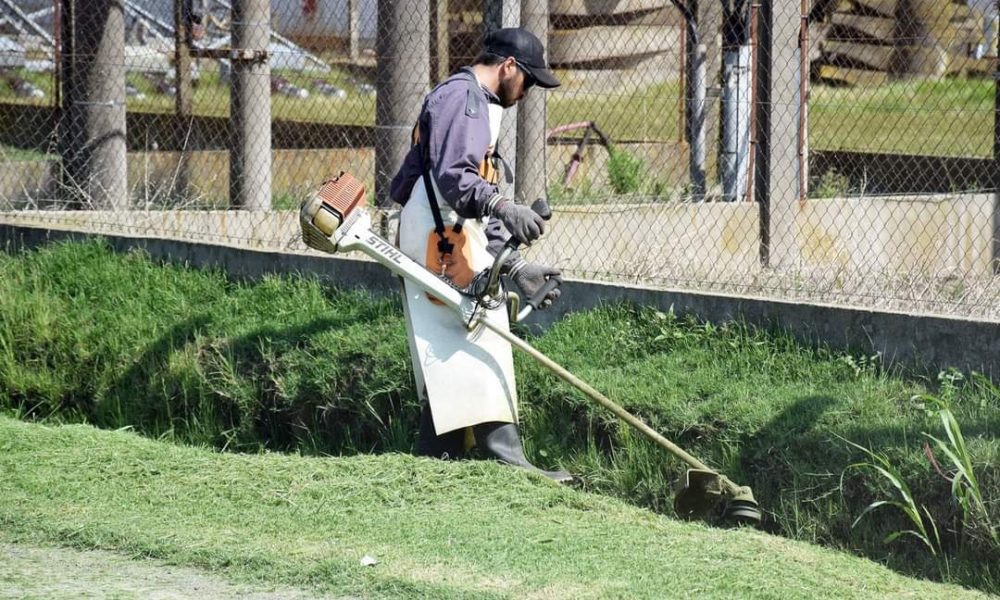 Corte de pasto en la ciudad – Rufinoweb.com.ar