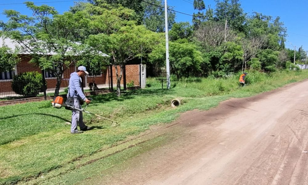 Corte de pasto – Rufinoweb.com.ar